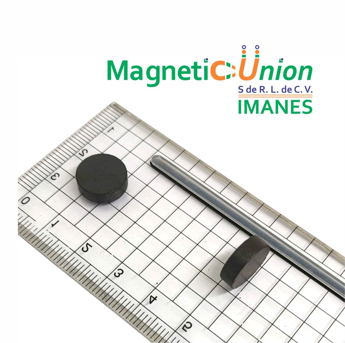 IMANES DE FERRITA DISCO 12x4 mm - Magnetic-Union