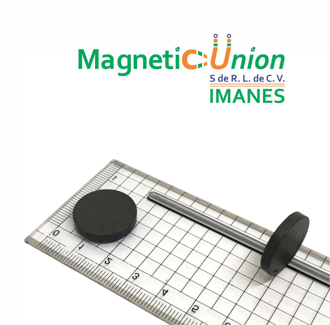 IMANES DE FERRITA Disco 20x3 mm - Magnetic-Union