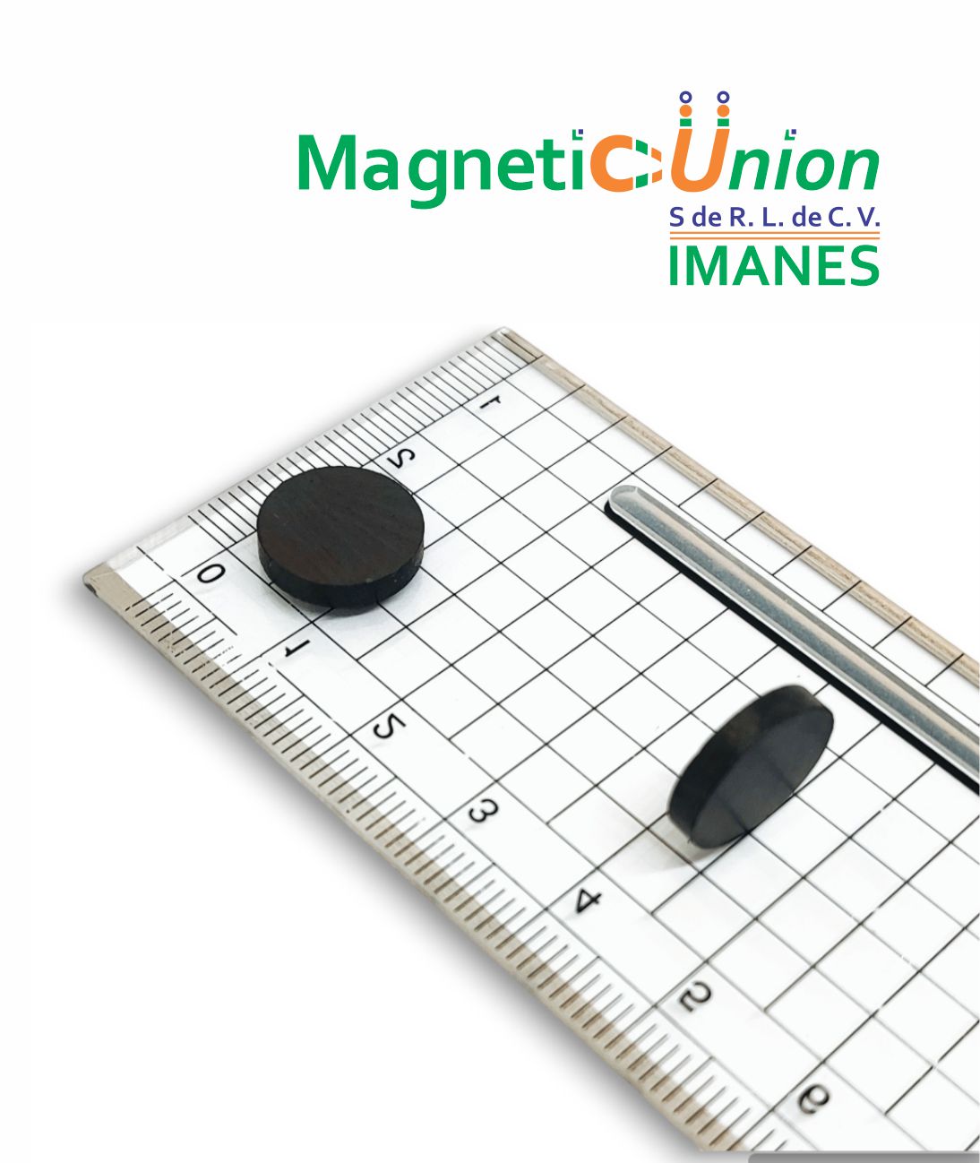 IMANES DE FERRITA DISCO 12x3 mm - Magnetic-Union